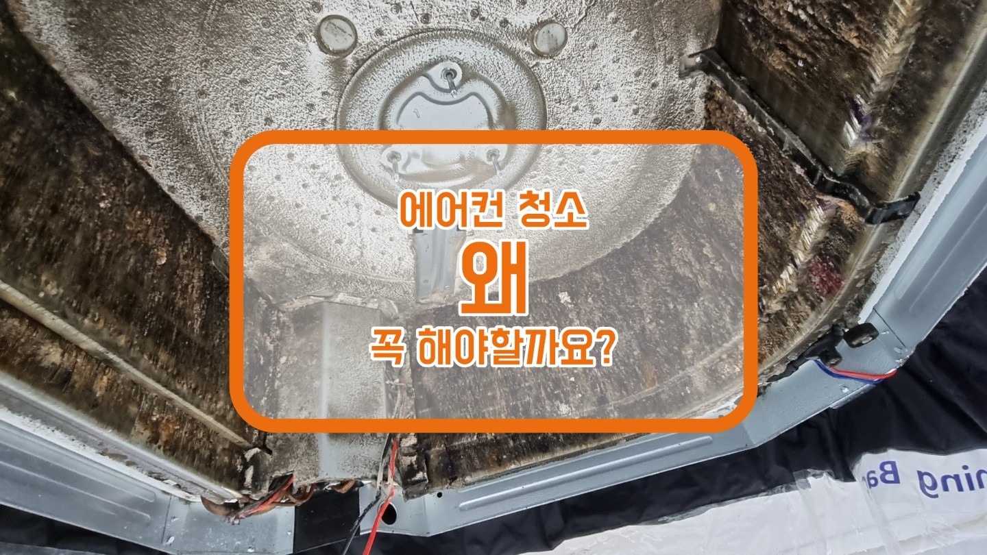에어컨 청소, 왜 꼭 해야 할까요? | 충청남도 천안시 서북구 쌍용동 | 에어컨청소 | 당근 비즈 소식