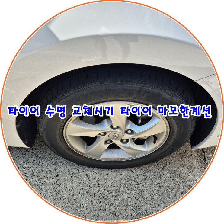 자동차 타이어 수명 교체주기 마모한계선 확인 대구광역시 달서구 장동 비즈프로필