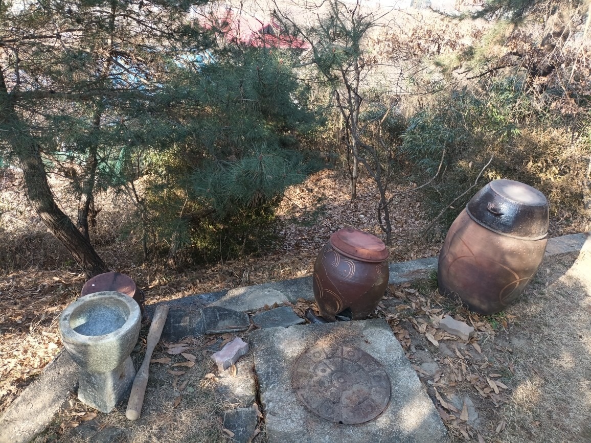 200년이 넘은 소나무는 어쩌시게요 택지개발지구 에서 전원주택 창고정리 했어 요 충청북도 청주시 상당구 용정동 청소소독