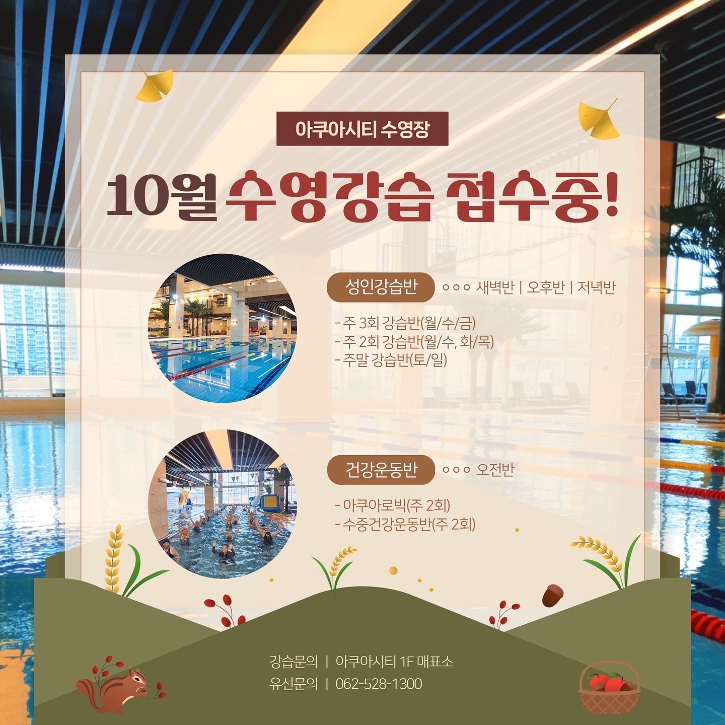 북구 수영장 아쿠아시티 10월 강습 접수중성인반 아쿠아로빅 수중건강운동 키즈반 광주광역시 북구 매곡동 비즈프로필