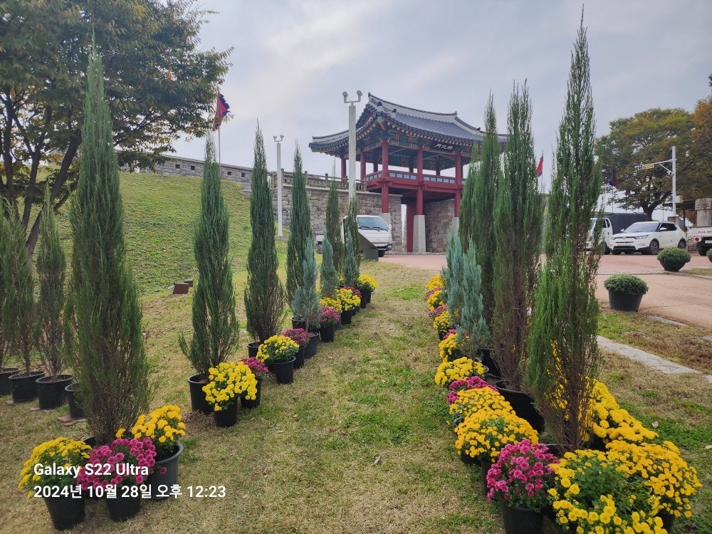 우리 오늘 홍화문 앞에서 만나요 ️ 국화축제장 포토존 팝업매장 OPEN | 충청남도 홍성군 홍동면 | 화원 | 당근 비즈 소식