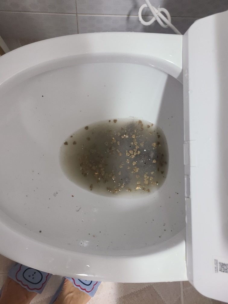 오늘은 침대 쇼파 카페트 진드기및 먼지 제거 울산광역시 남구 옥동 비즈프로필