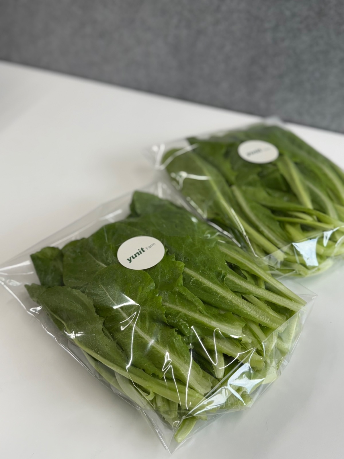 🥕SB위드아그로 스마트팜 채소 무료나눔 이벤트!🌱 | 경기도 여주시 삼교동 | 농산물종합판매 | 당근 비즈 소식