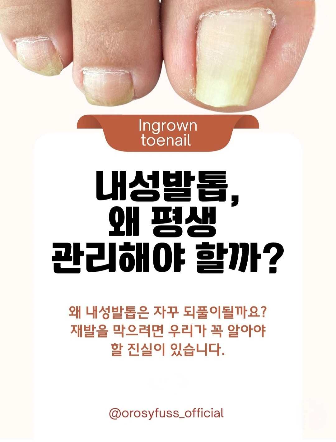 *오로지푸스진천혁신도시점* | 충청북도 진천군 덕산읍 | 네일샵 | 당근 비즈 소식