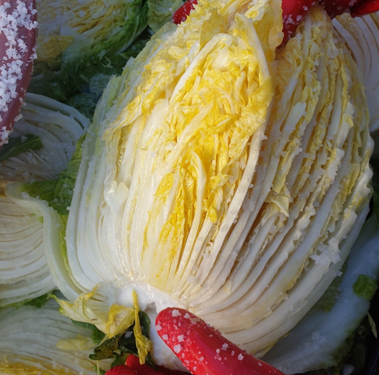 [김장철특가]해남 GAP 절임배추 10kg 20kg | 전라남도 나주시 빛가람동 | 농산물종합판매 | 당근 비즈 소식