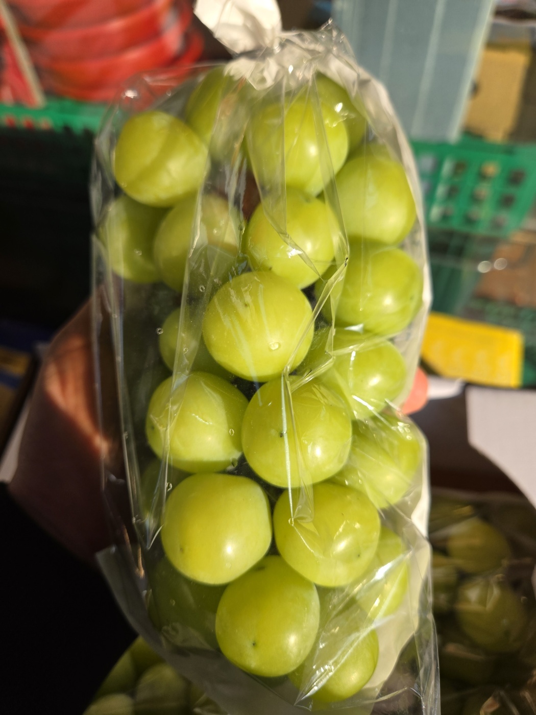 샤인머스켓 2kg 4수 한박스 7,900원 | 경기도 안양시 동안구 호계동 | 과일판매 | 당근 비즈 소식