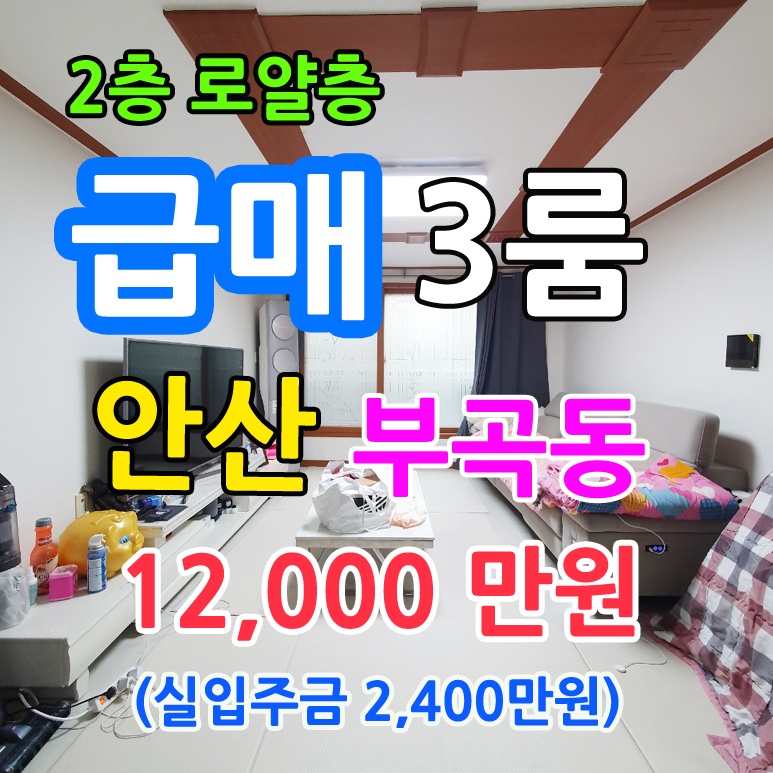 급매 3룸 빌라 2층 로얄층부곡동 제일cc정문인근내부 리모델링된 빌라 경기도 안산시 상록구 부곡동 비즈프로필