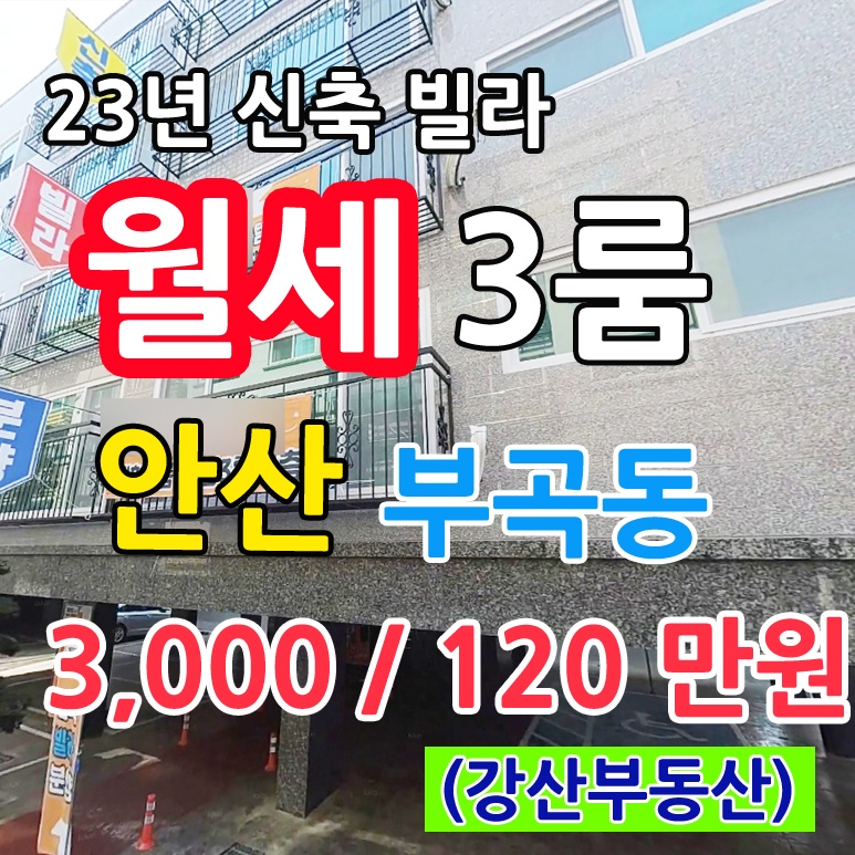 부곡프라자 인근 신축빌라 귀한 월세 3룸3000120 엘레베이터주차장 경기도 안산시 상록구 부곡동 공인중개사