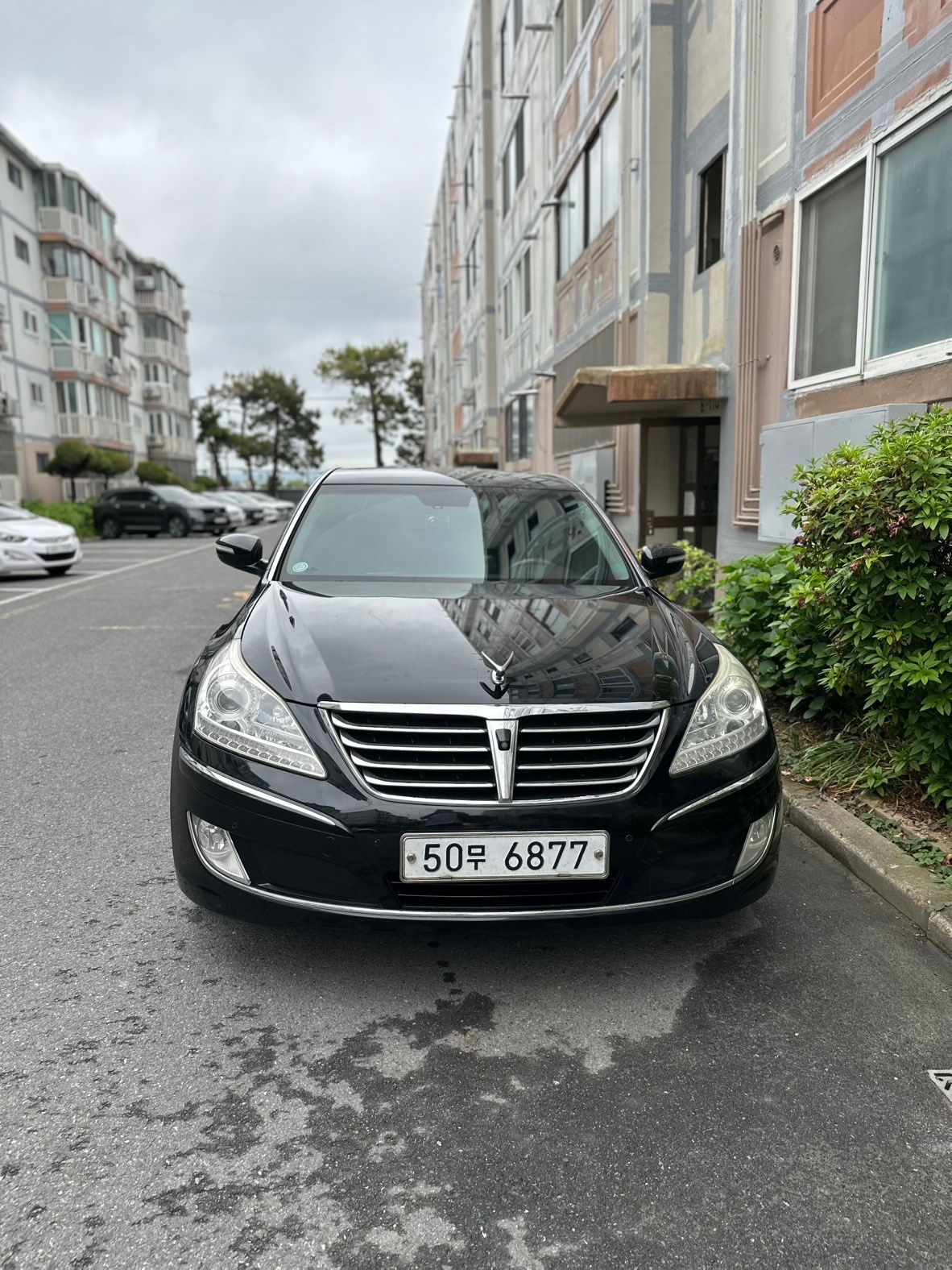 신형 에쿠스 VI 5인승 VS380 프레스티지 (VIP PACK I) | 월곡동 | 당근 중고차