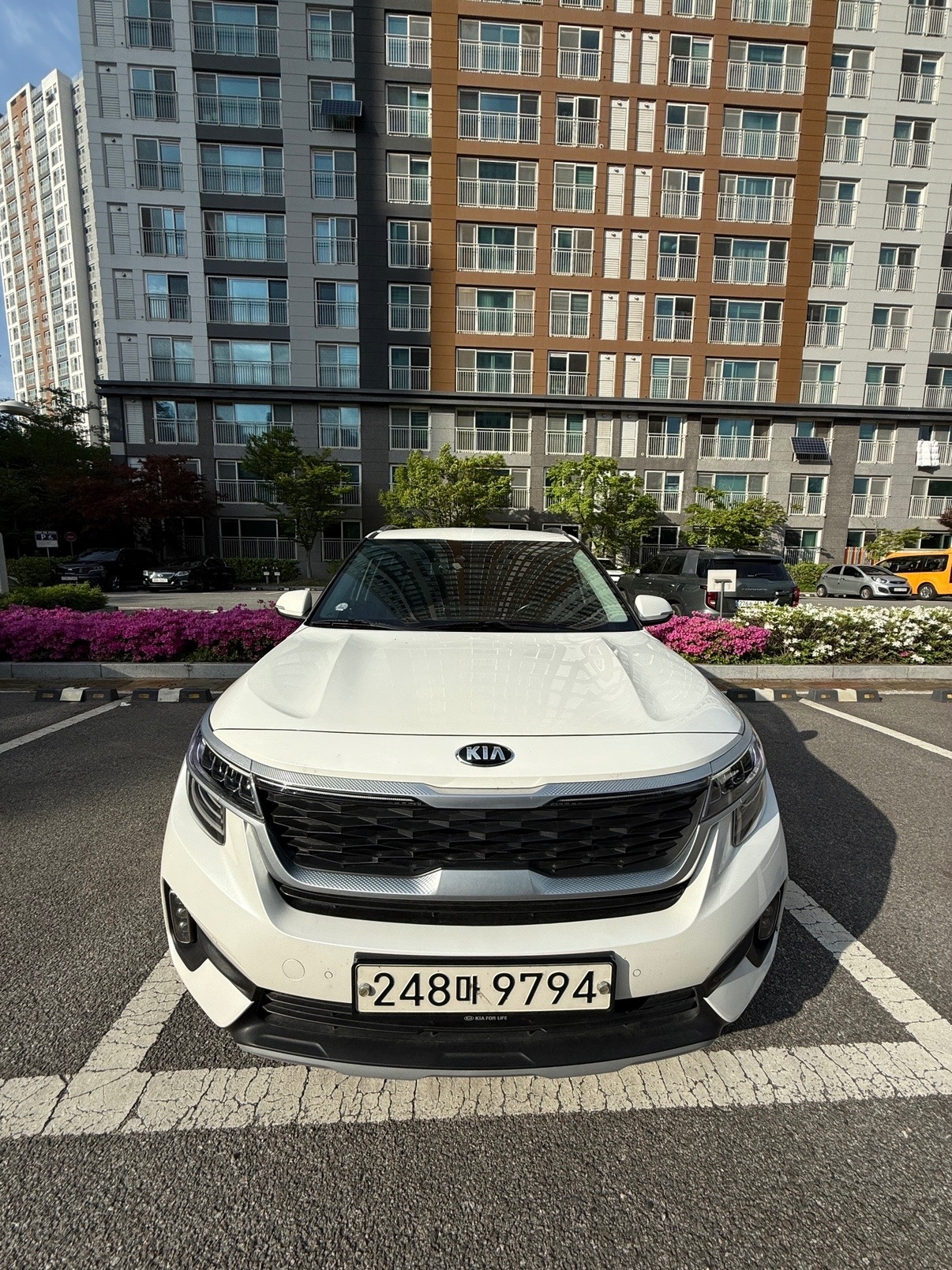 셀토스 SP2 5인승(가솔린 1.6T) FWD 노블레스 | 맹동면 | 당근 중고차