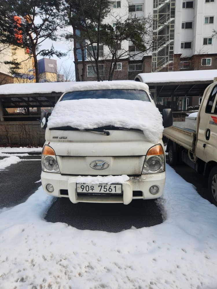 포터 Ⅱ HR 4WD 장축 슈퍼캡 CRDi | 후평1동 | 당근 중고차