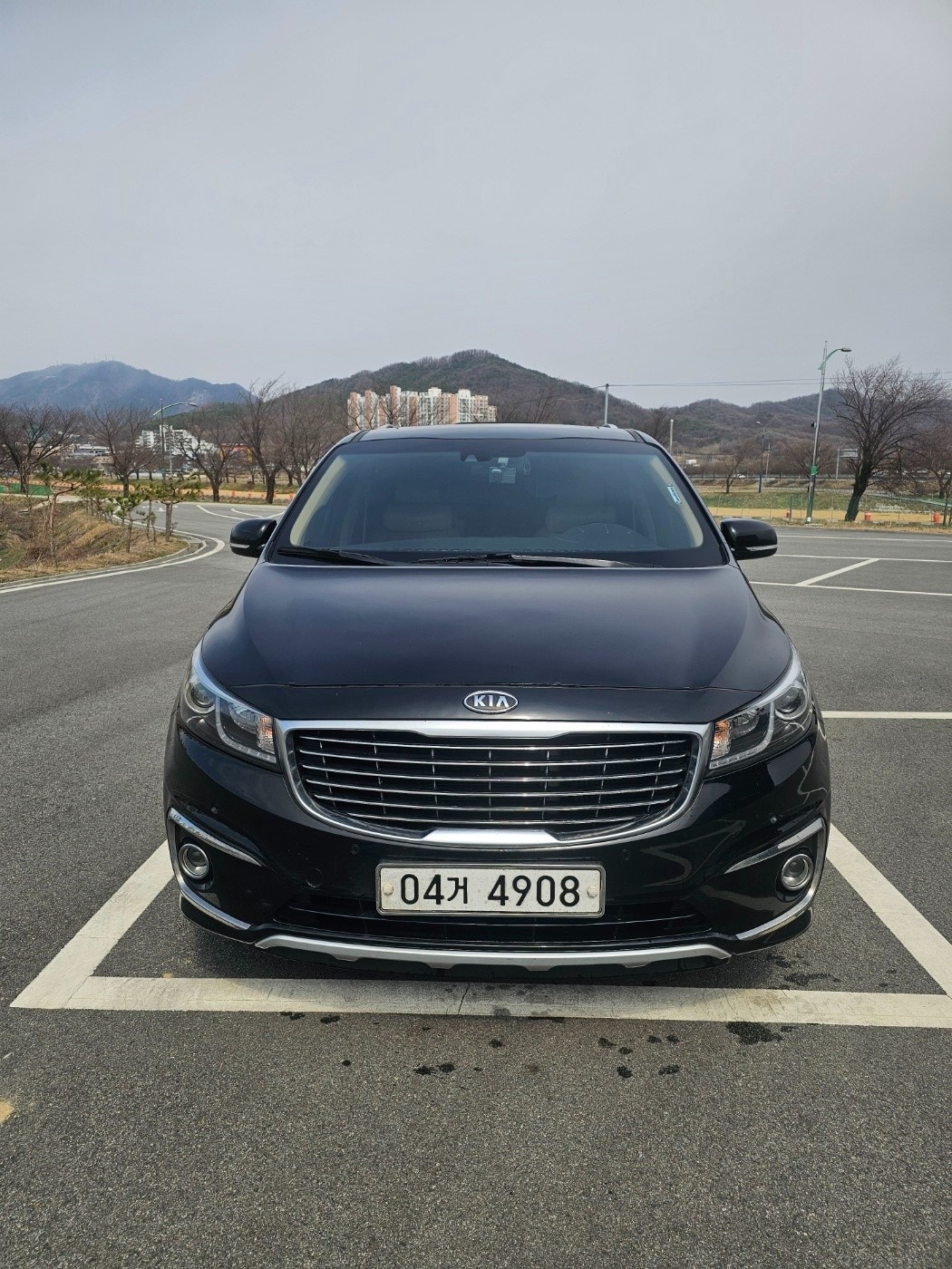 올 뉴 카니발 YP 9인승 (디젤 2.2) FWD 노블레스 | 음성읍 | 당근 중고차