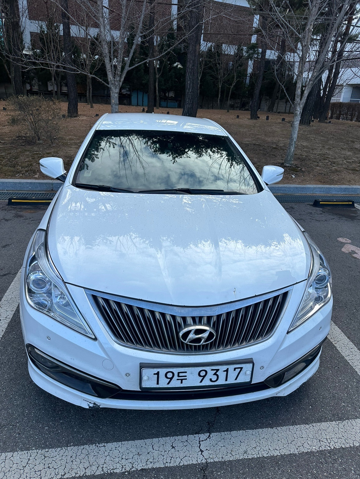 그랜저 HG HG220 디젤 FWD 프리미엄 | 도화2,3동 | 당근 중고차