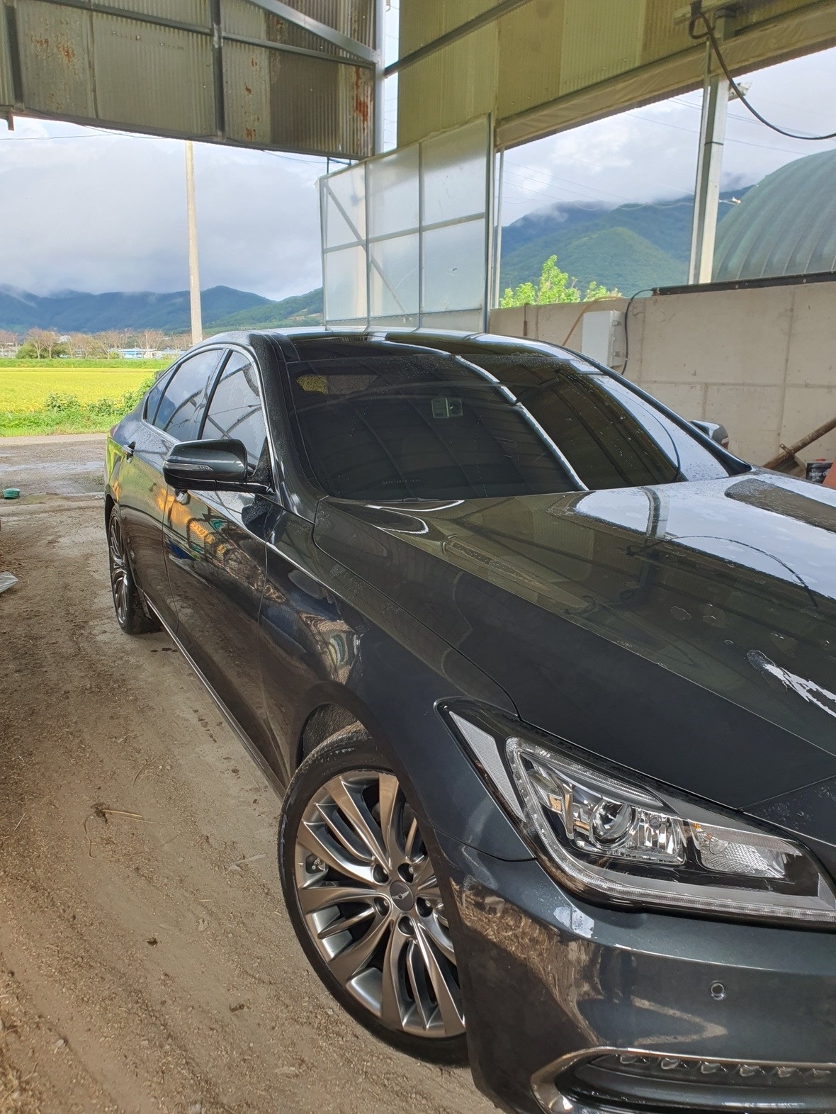 G80 DH 3.3 RWD 프리미엄 럭셔리 | 군포2동 | 당근 중고차