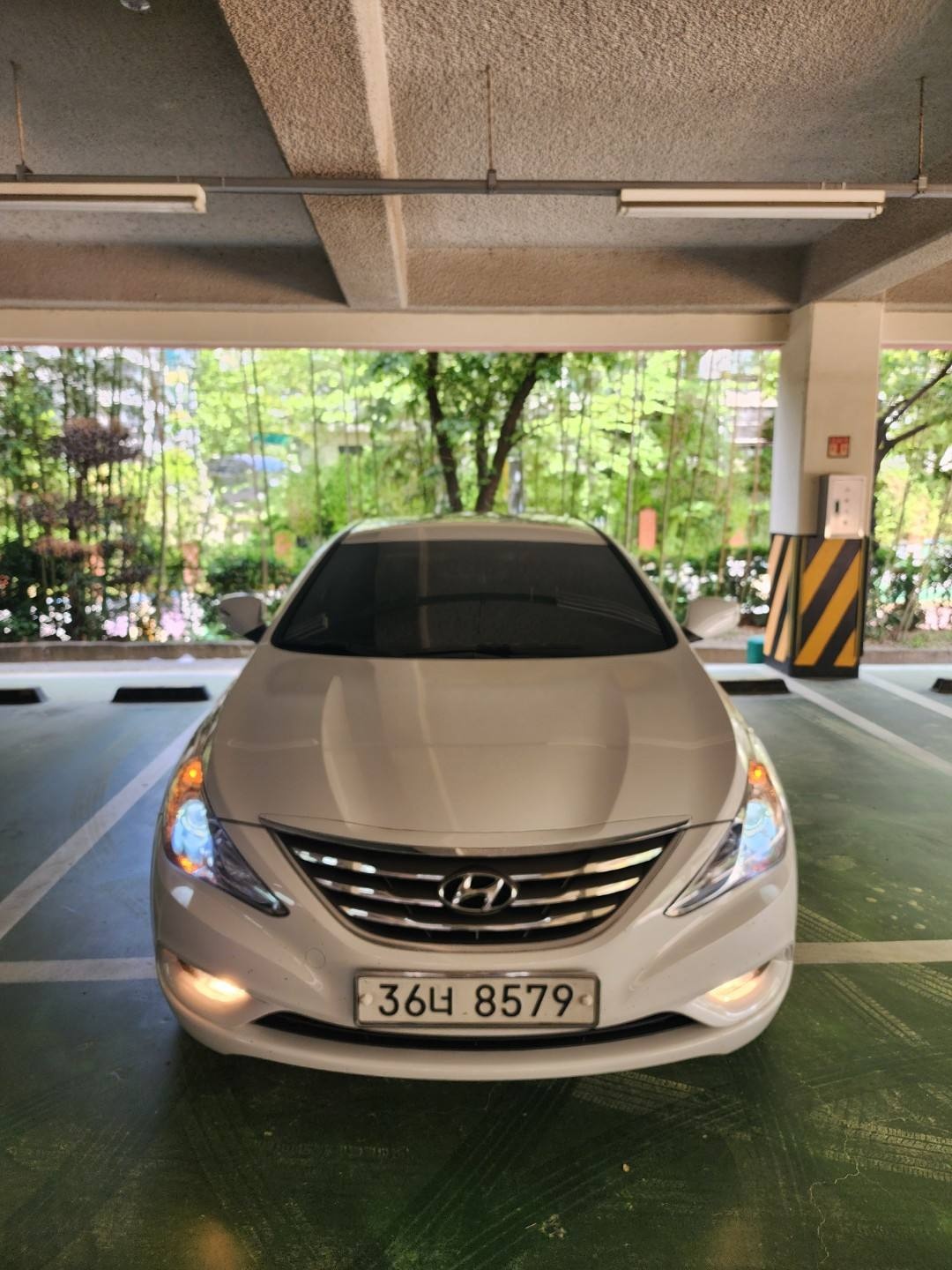 YF 쏘나타 LPi Y20 렌트 럭셔리 | 용호동 | 당근 중고차