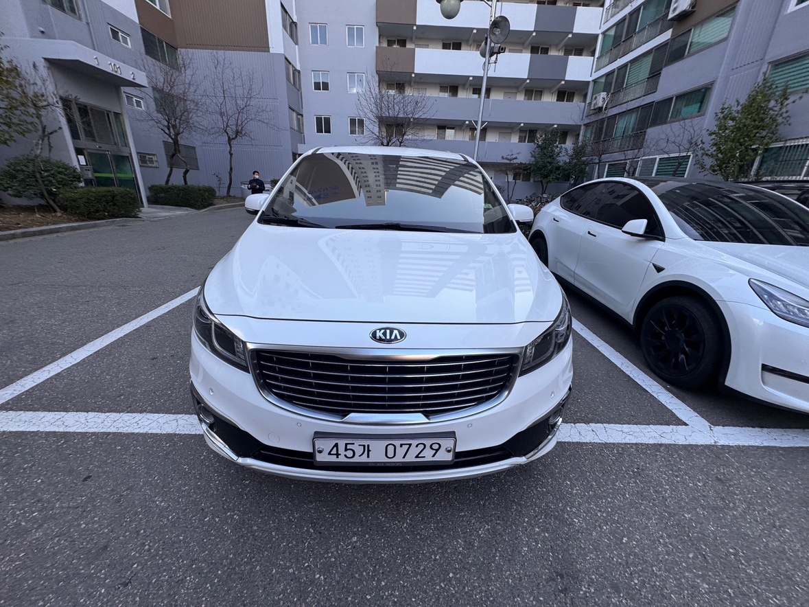 올 뉴 카니발 YP 9인승 (디젤 2.2) FWD 프레스티지 | 대치2동 | 당근 중고차