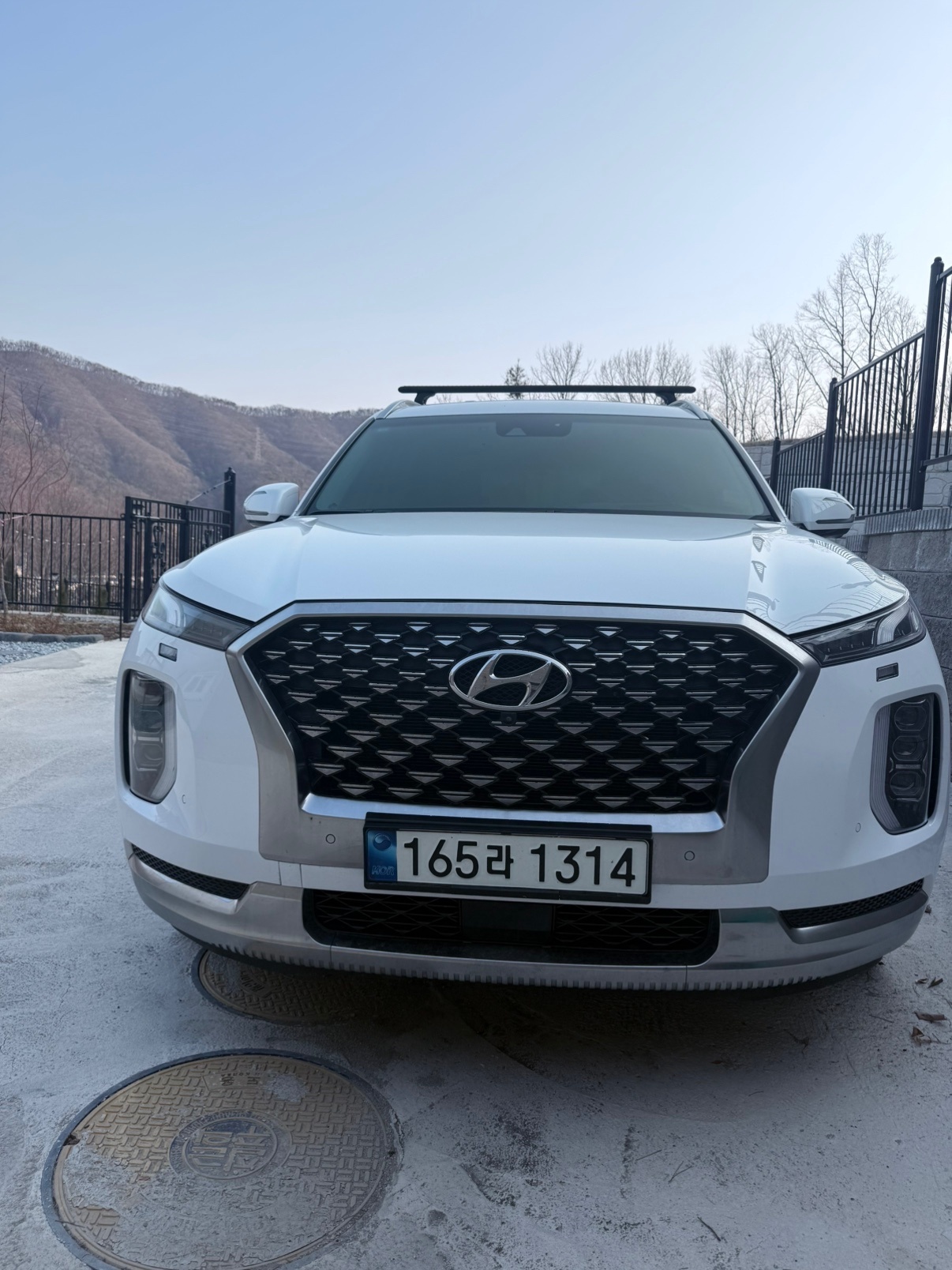 팰리세이드 LX2 7인승(가솔린 3.8) 4WD 캘리그래피 | 태전동 | 당근 중고차