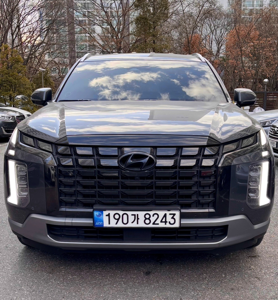 더 뉴 팰리세이드 LX2 7인승(가솔린 3.8) 4WD 프레스티지 | 정자2동 | 당근 중고차