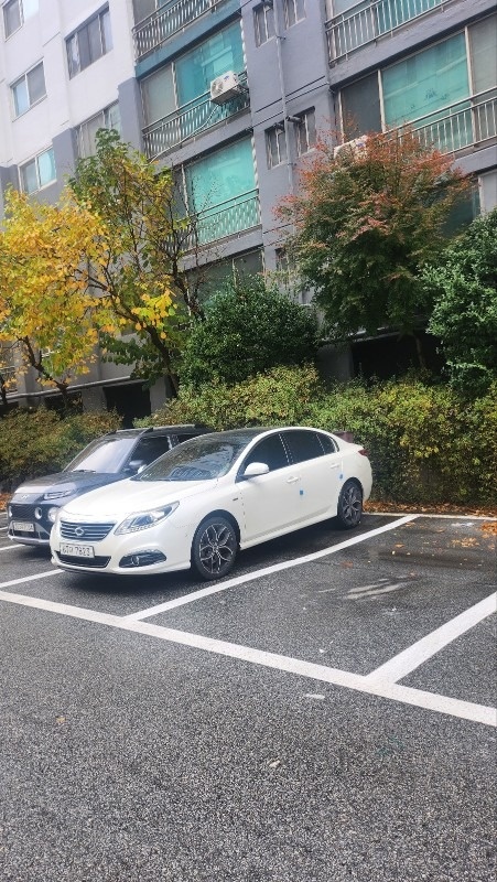 뉴 SM5 플래티넘 L43 1.6 TCe 기본형 | 음봉면 | 당근 중고차