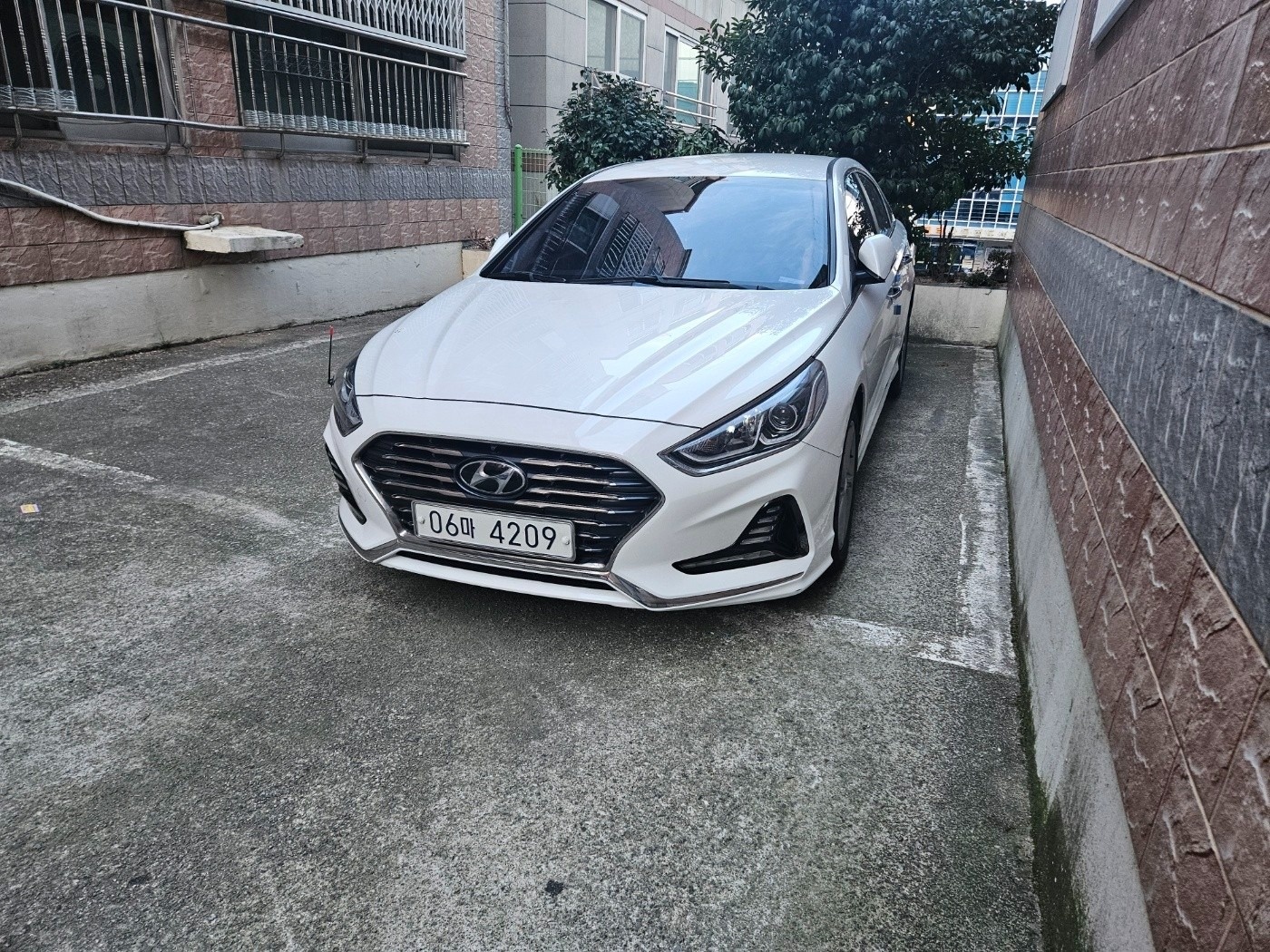 쏘나타 뉴 라이즈 LF. 19 2.0 CVVL FWD 스마트 | 기장읍 | 당근 중고차