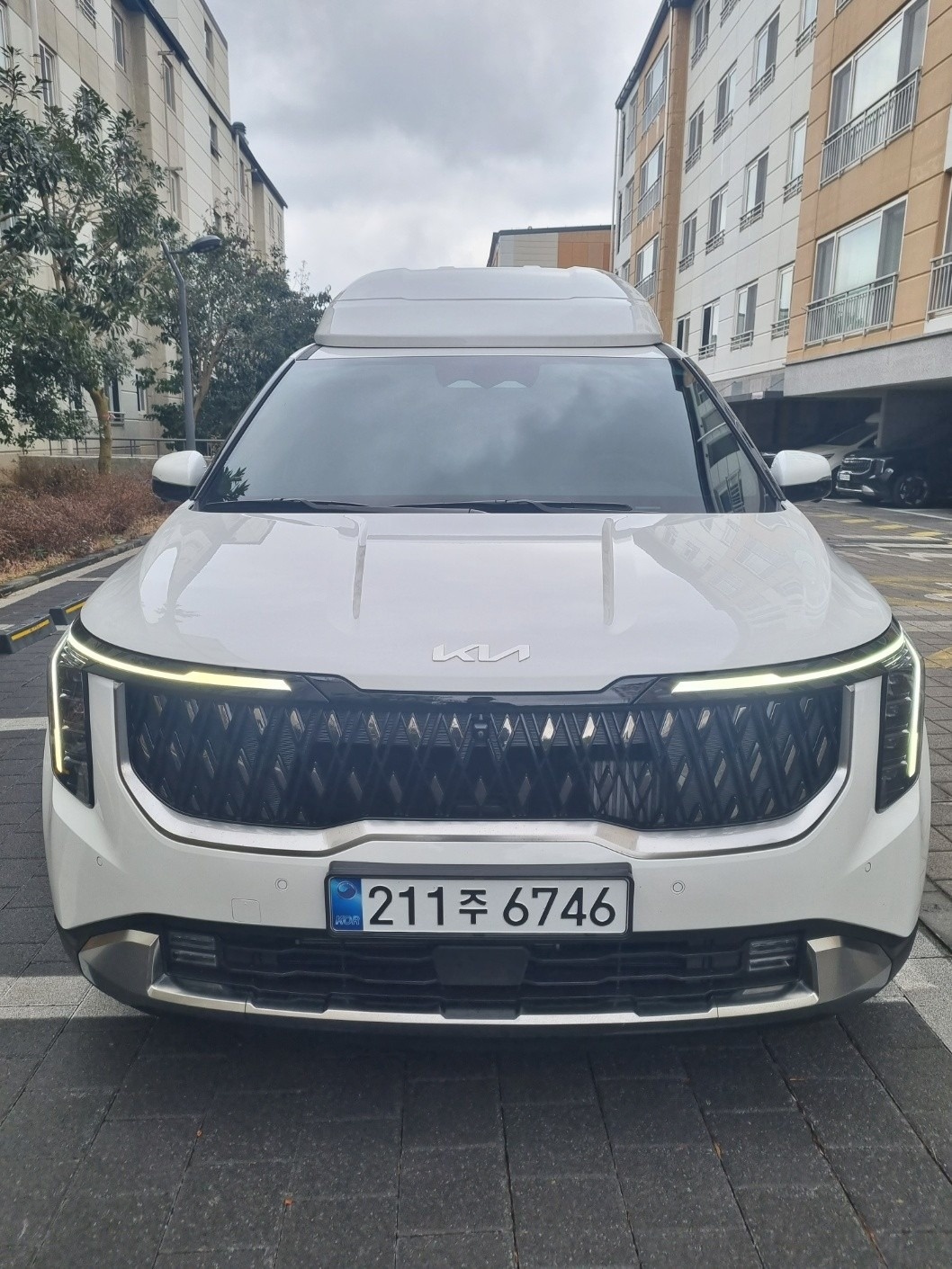 더 뉴 카니발 4세대 KA4 7인승(HEV 하이리무진) FWD 시그니처 | 분당동 | 당근 중고차