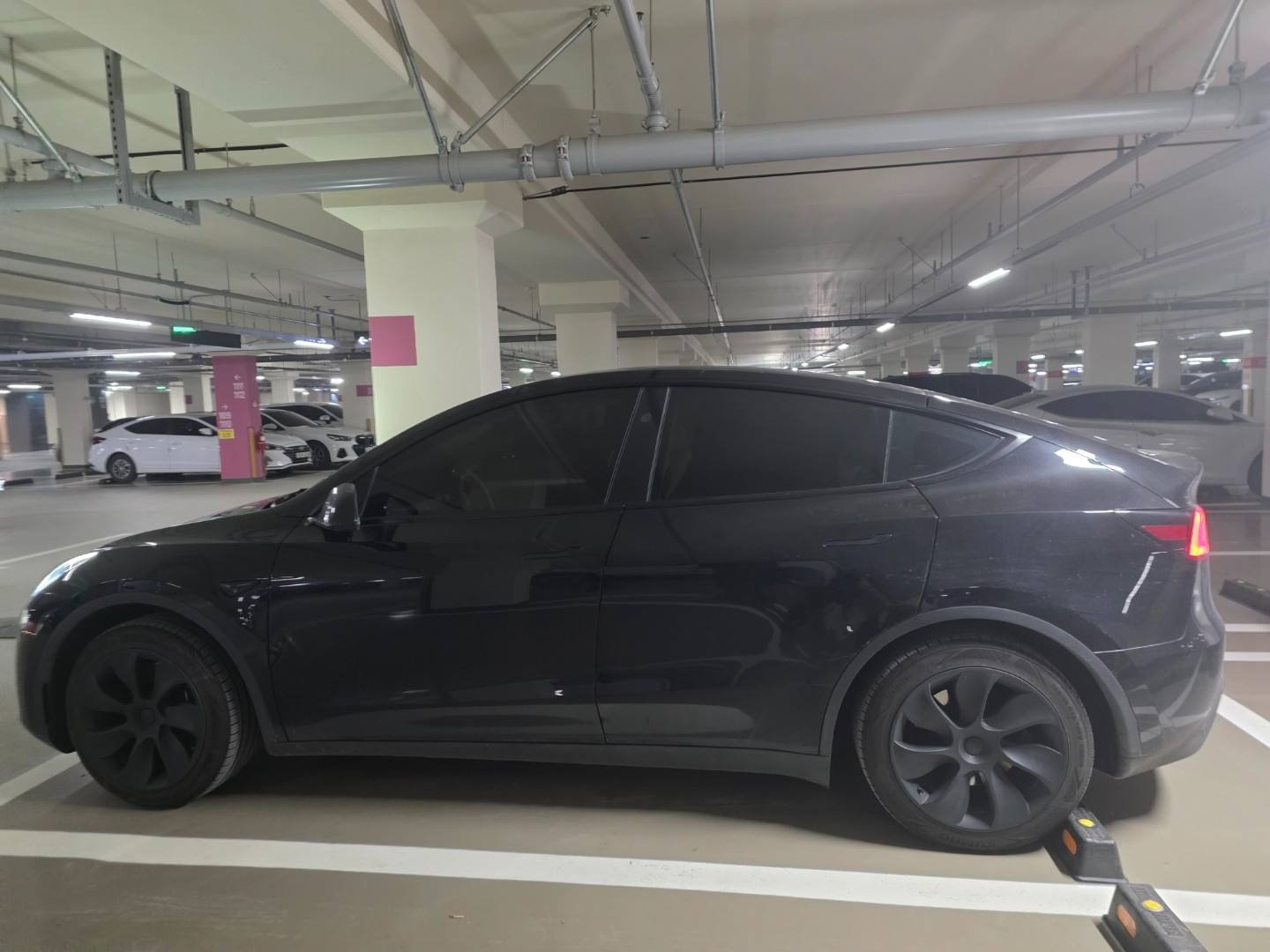 모델 Y BEV(75 kWh) RWD 스탠다드 레인지 | 봉명1동 | 당근 중고차