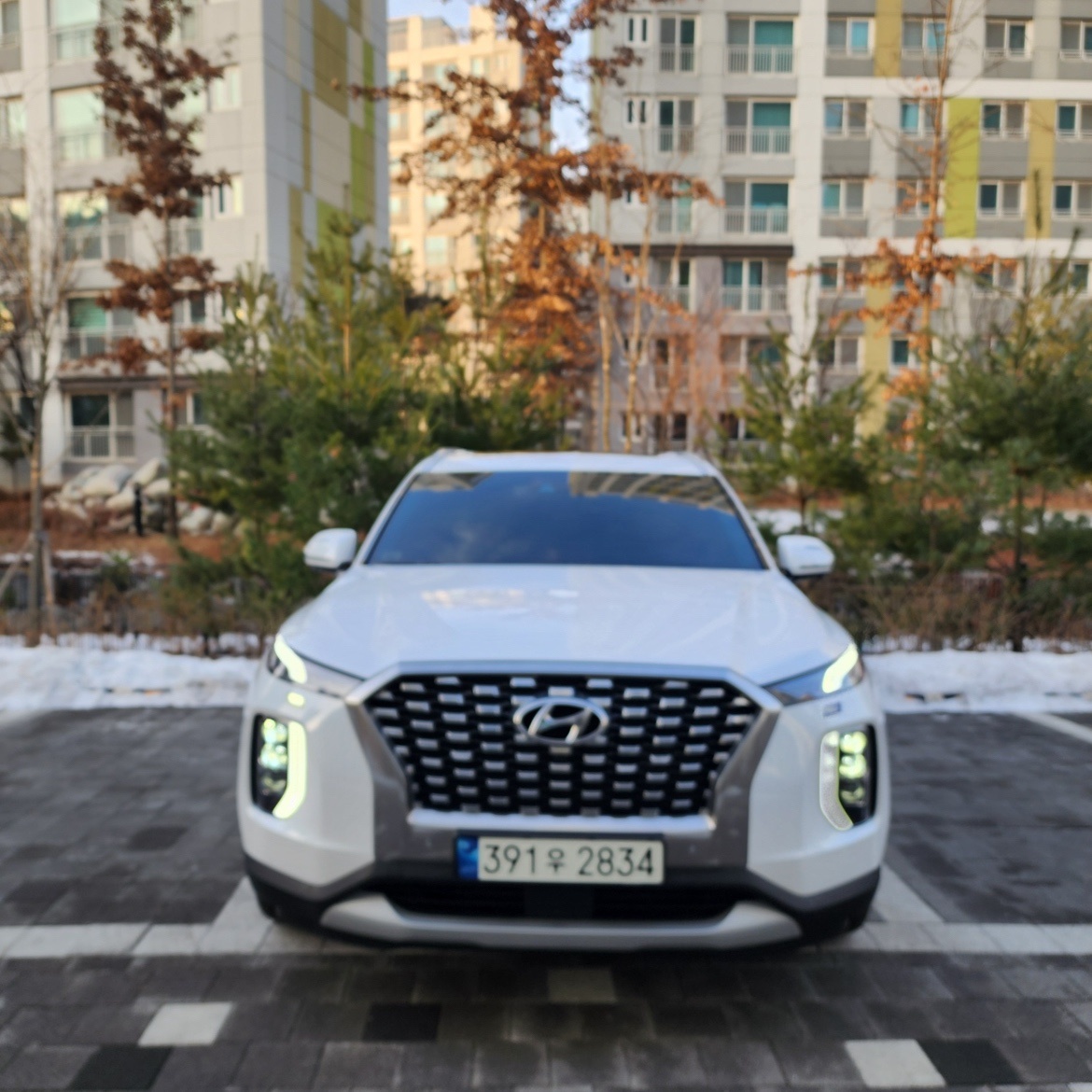 팰리세이드 LX2 8인승(디젤 2.2) FWD 프레스티지 | 옥정동 | 당근 중고차