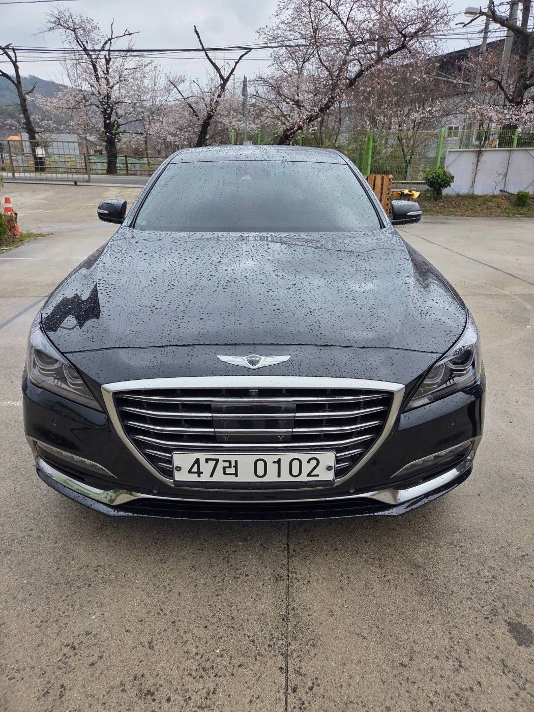 G80 DH 3.8 RWD 프레스티지 | 송천동2가 | 당근 중고차