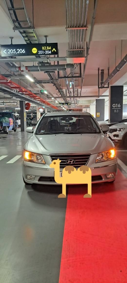 NF 쏘나타 트랜스폼 LPi N20 택시 LTX | 포곡읍 | 당근 중고차