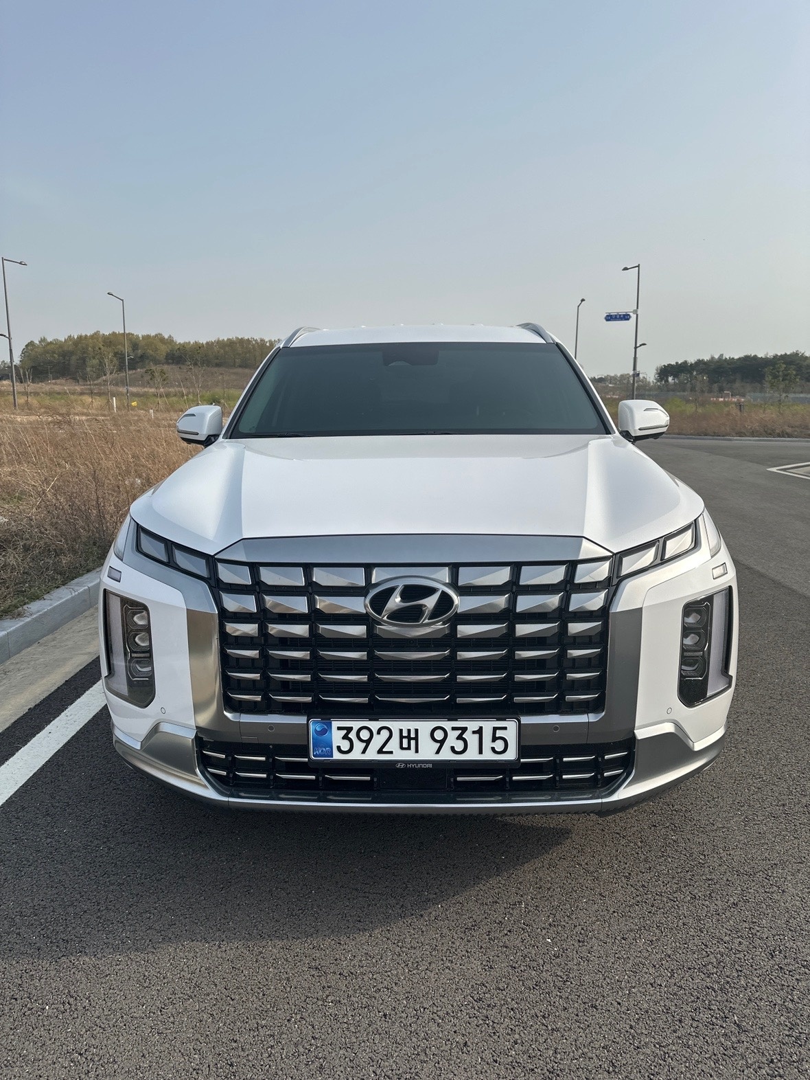 더 뉴 팰리세이드 LX2 7인승(가솔린 3.8) 4WD 캘리그래피 | 풍천면 | 당근 중고차