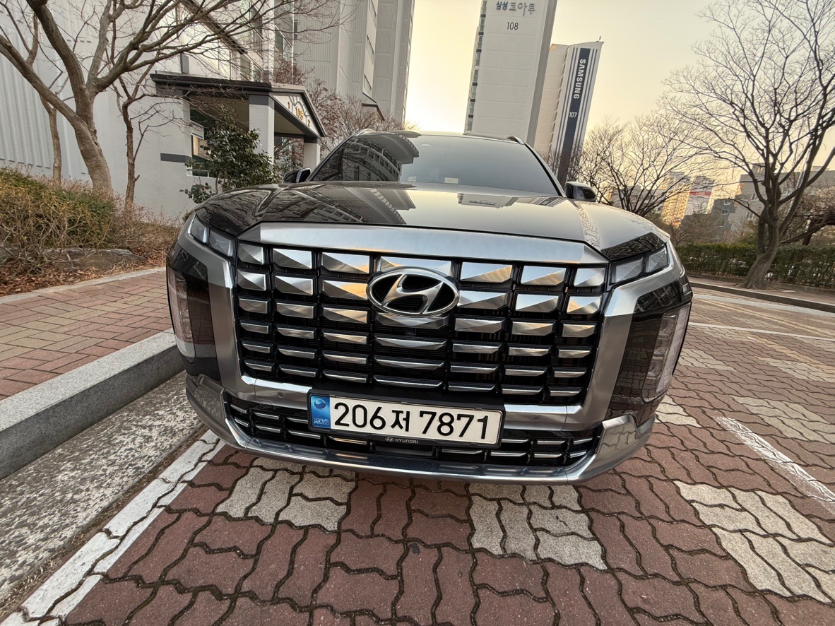 더 뉴 팰리세이드 LX2 7인승(디젤 2.2) FWD 캘리그래피 | 명촌동 | 당근 중고차