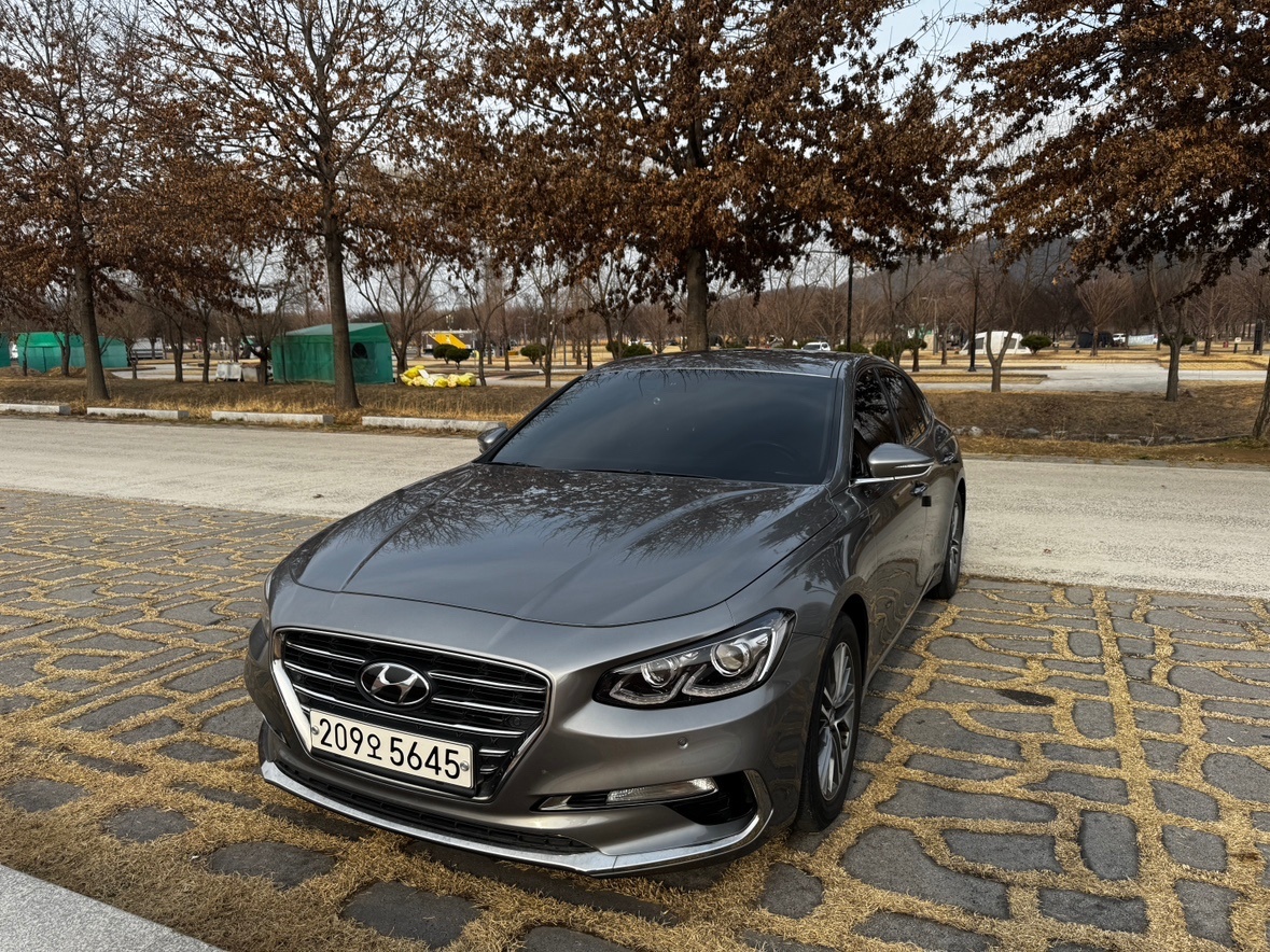 그랜저 IG 2.4 GDi FWD 프리미엄 | 지산동 | 당근 중고차