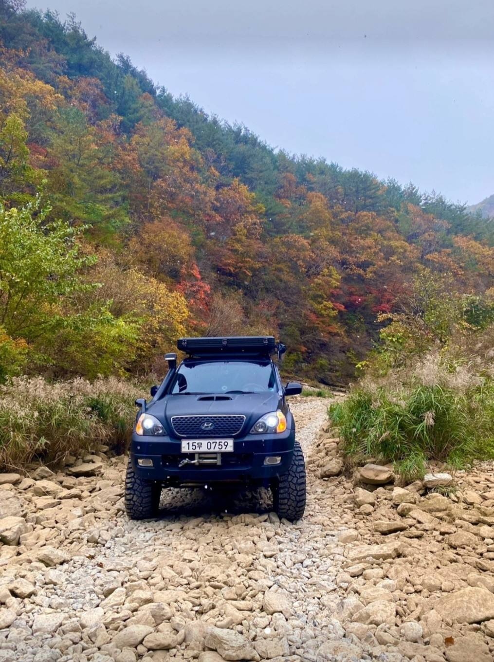 테라칸 HP 4WD JX290 최고급 | 대곶면 | 당근 중고차