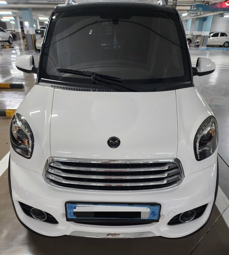 M1 EV | 덕이동 | 당근 중고차