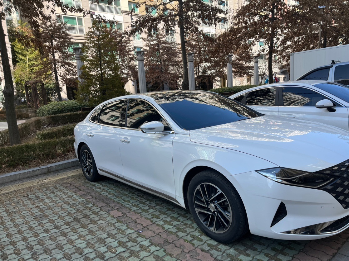 더 뉴 그랜저 IG LPI 3.0 렌트카 FWD 프리미엄초이스 | 화정동 | 당근 중고차