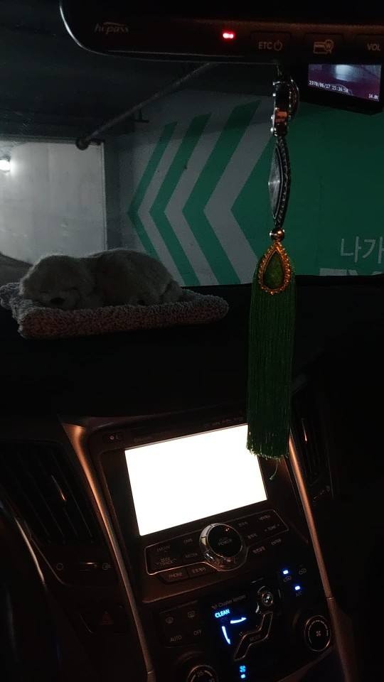 YF 쏘나타 LPi Y20 렌트 탑 | 태평동 | 당근 중고차