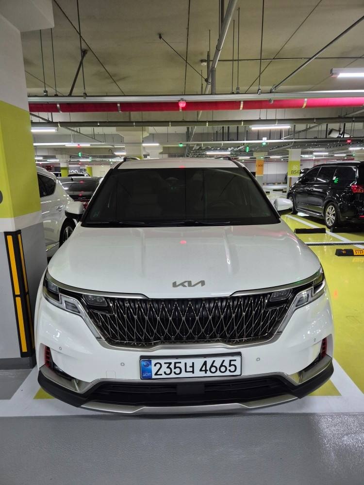 카니발 4세대 KA4 9인승(디젤 2.2) FWD 노블레스 | 장현동 | 당근 중고차