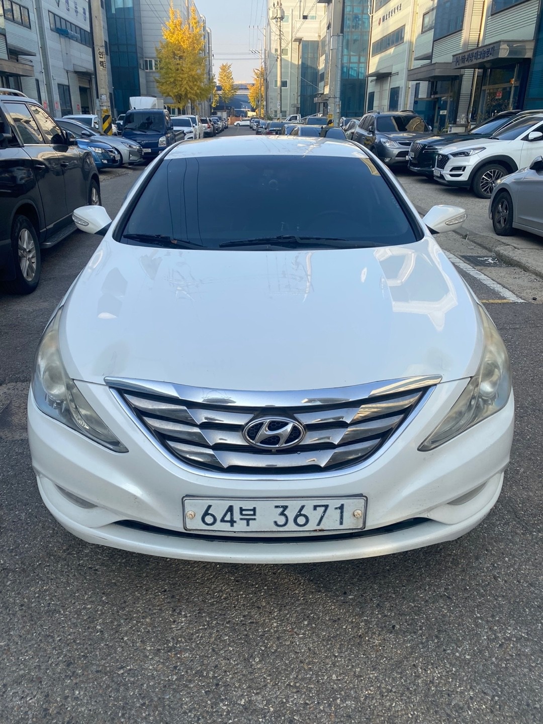 YF 쏘나타 YF LPi Y20 렌트 프리미어 | 서초4동 | 당근 중고차