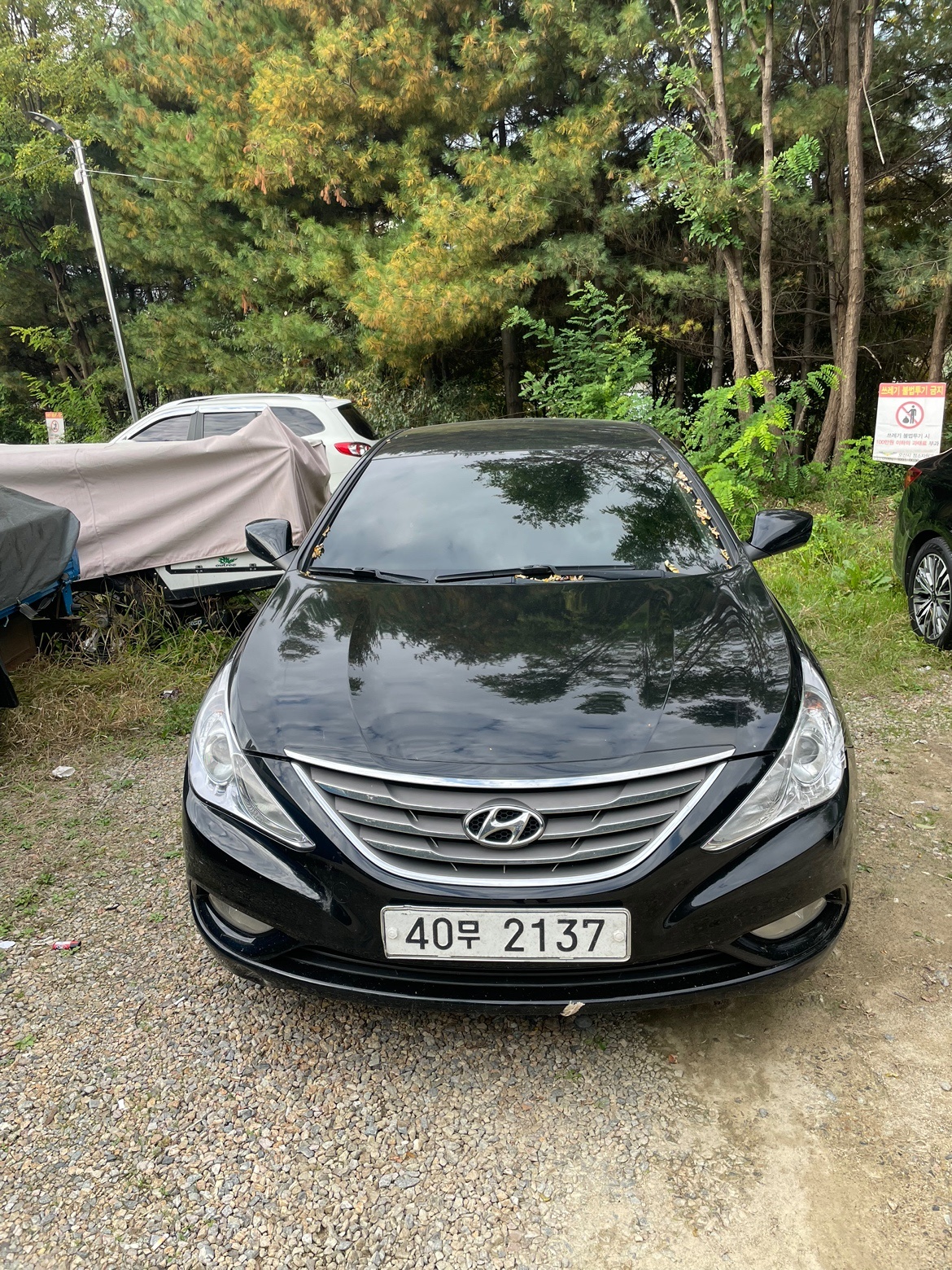 YF 쏘나타 YF LPi Y20 렌트 디럭스 | 서초4동 | 당근 중고차