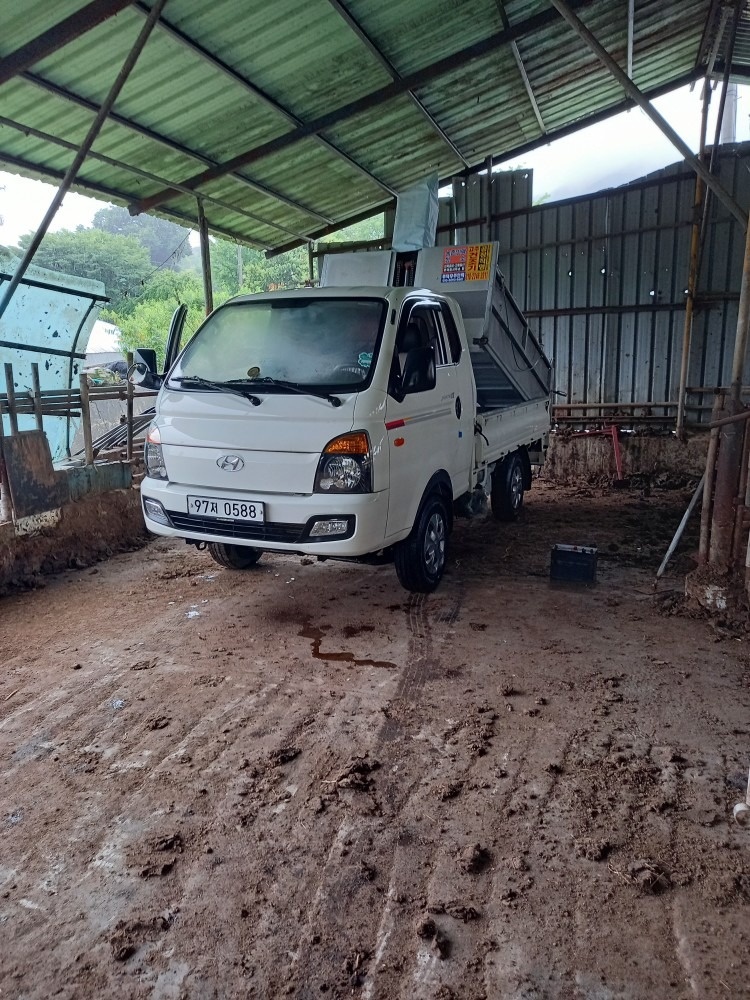 포터 Ⅱ HR 4WD 장축 슈퍼캡 CRDi 스타일 | 서초4동 | 당근 중고차