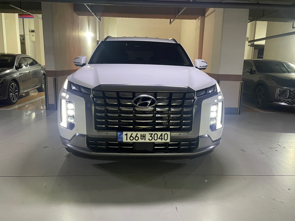 더 뉴 팰리세이드 LX2 8인승(디젤 2.2) 4WD 캘리그래피 | 달천동 | 당근 중고차