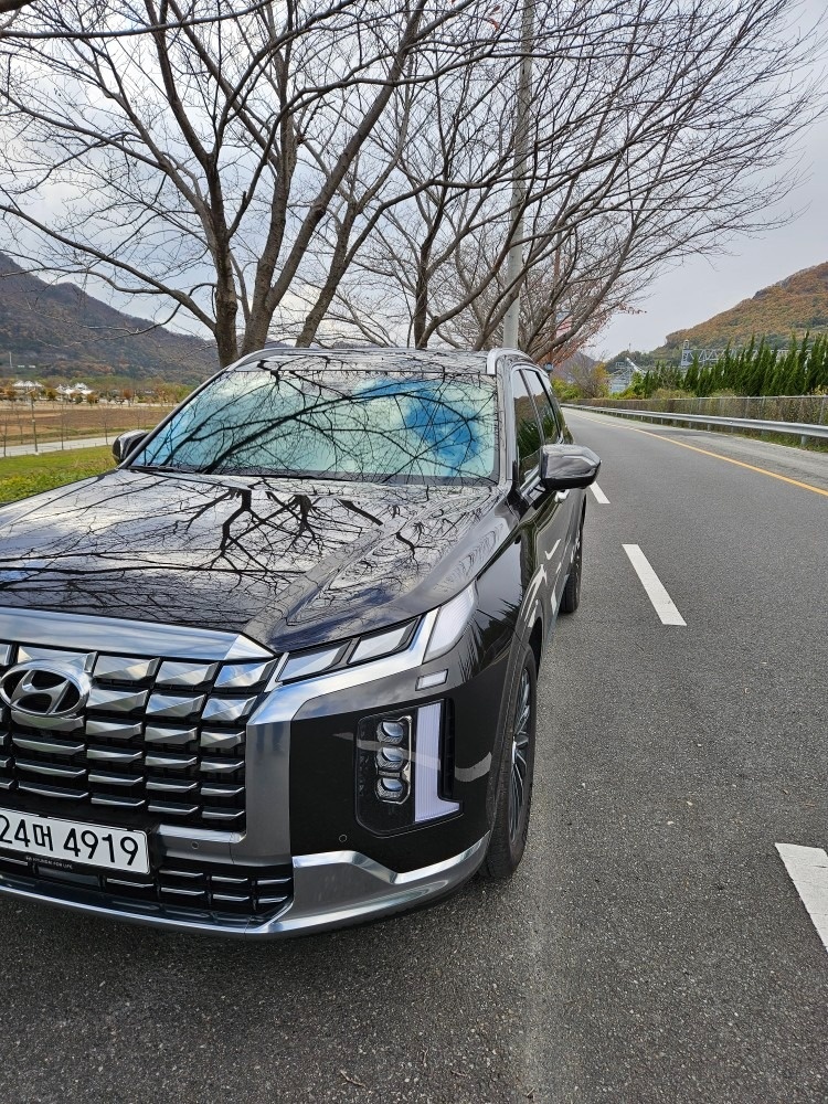 더 뉴 팰리세이드 LX2 8인승(가솔린 3.8) 4WD 캘리그래피 | 물금읍 | 당근 중고차