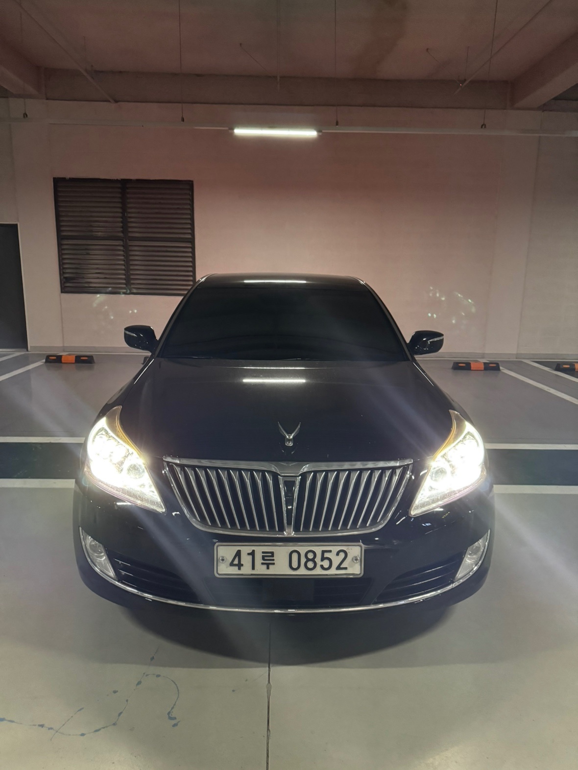 신형 에쿠스 VI 5인승 VS500 프레스티지 | 서초4동 | 당근 중고차