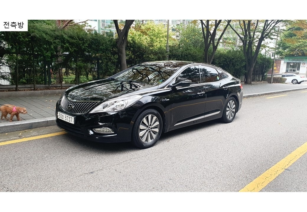 그랜저 HG HEV 2.4 FWD 프리미엄 | 서초4동 | 당근 중고차