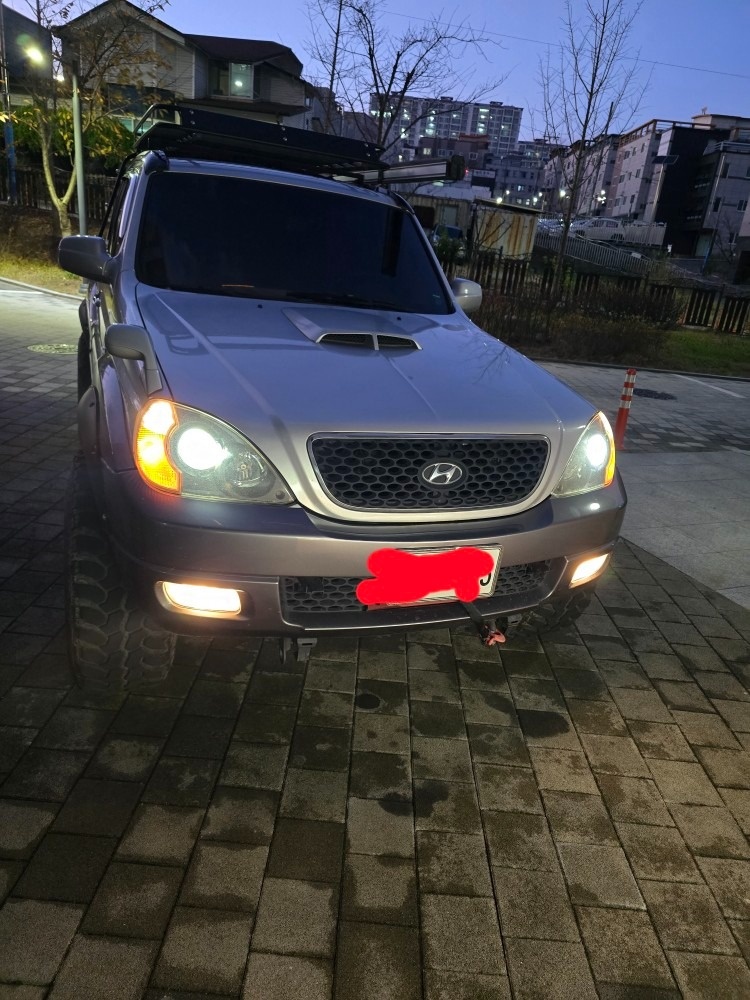 테라칸 HP 4WD JX290 골드 고급 | 금호읍 | 당근 중고차