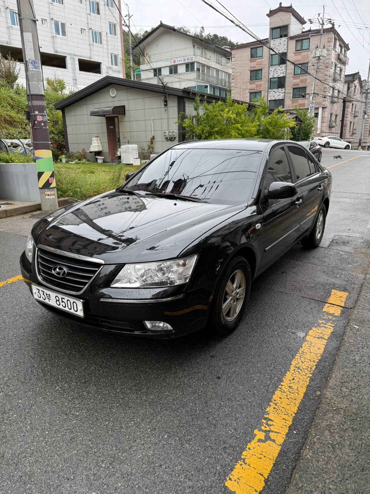 NF 쏘나타 트랜스폼 NF LPi N20 렌트 럭셔리 | 서초4동 | 당근 중고차