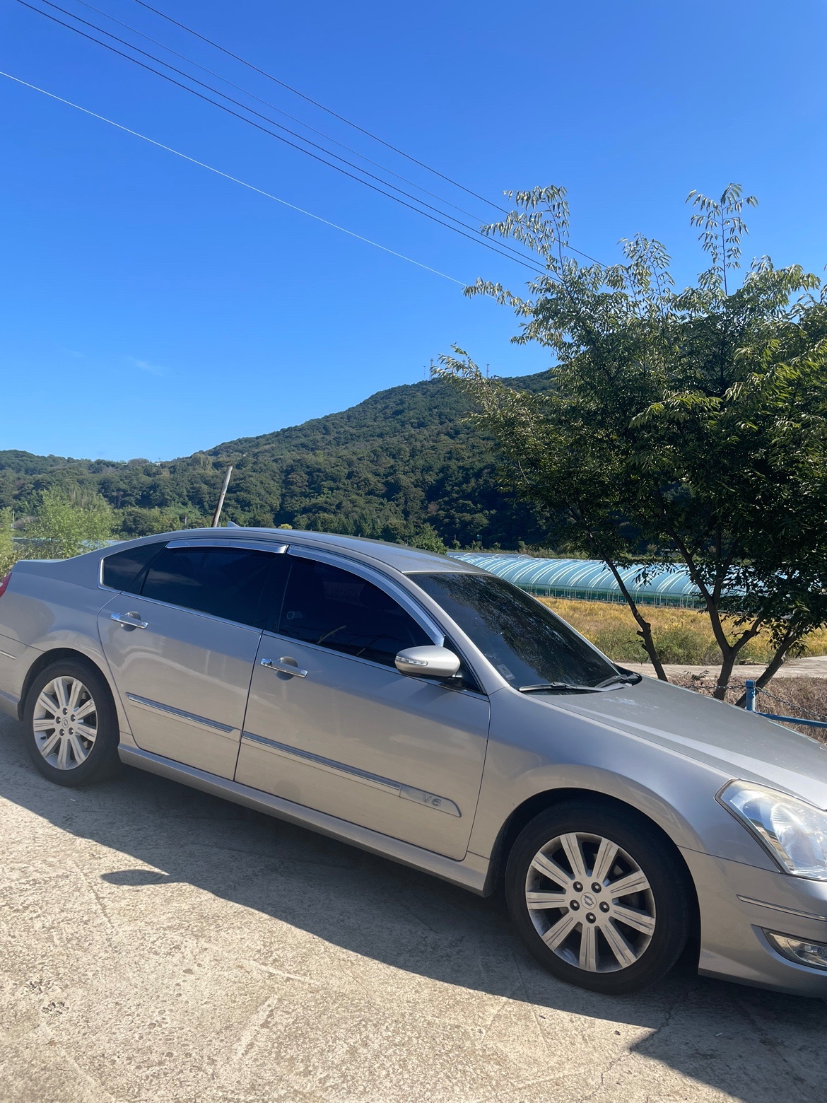 뉴 SM7 아트 LF 2.3 V6 | 내동면 | 당근 중고차