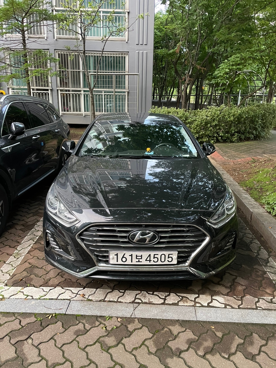 쏘나타 뉴 라이즈 LF. 19 2.0 CVVL FWD 스마트 | 서초4동 | 당근 중고차