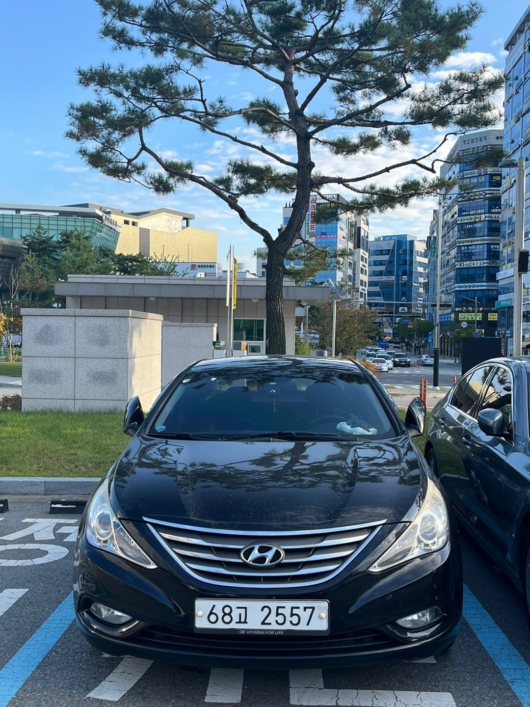 YF 쏘나타 YF CVVL 프리미어 기본형 | 신방동 | 당근 중고차