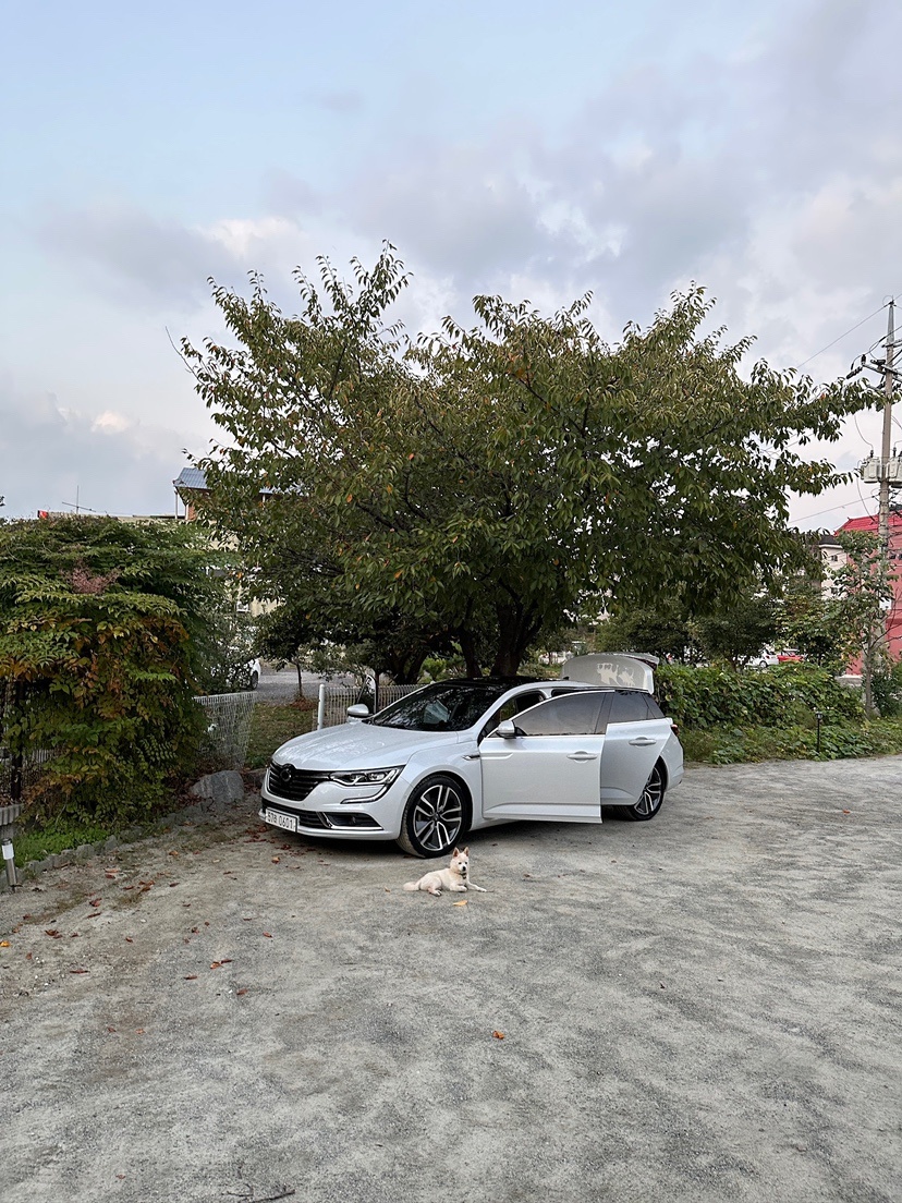 SM6 LFD 1.6 TCe | 서초4동 | 당근 중고차